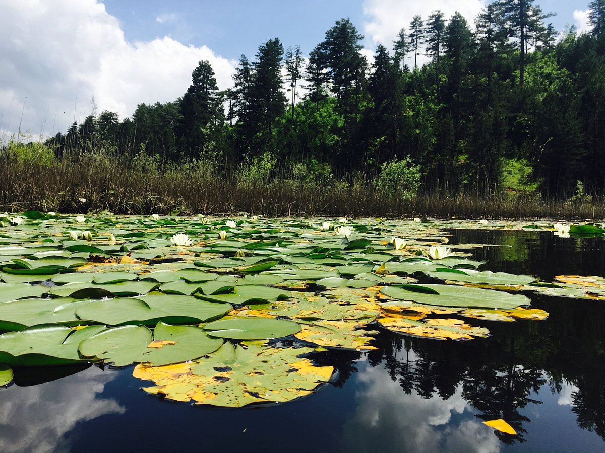 Visit Lake Dushku with a campervan – Escape into real Albania - Govan.al